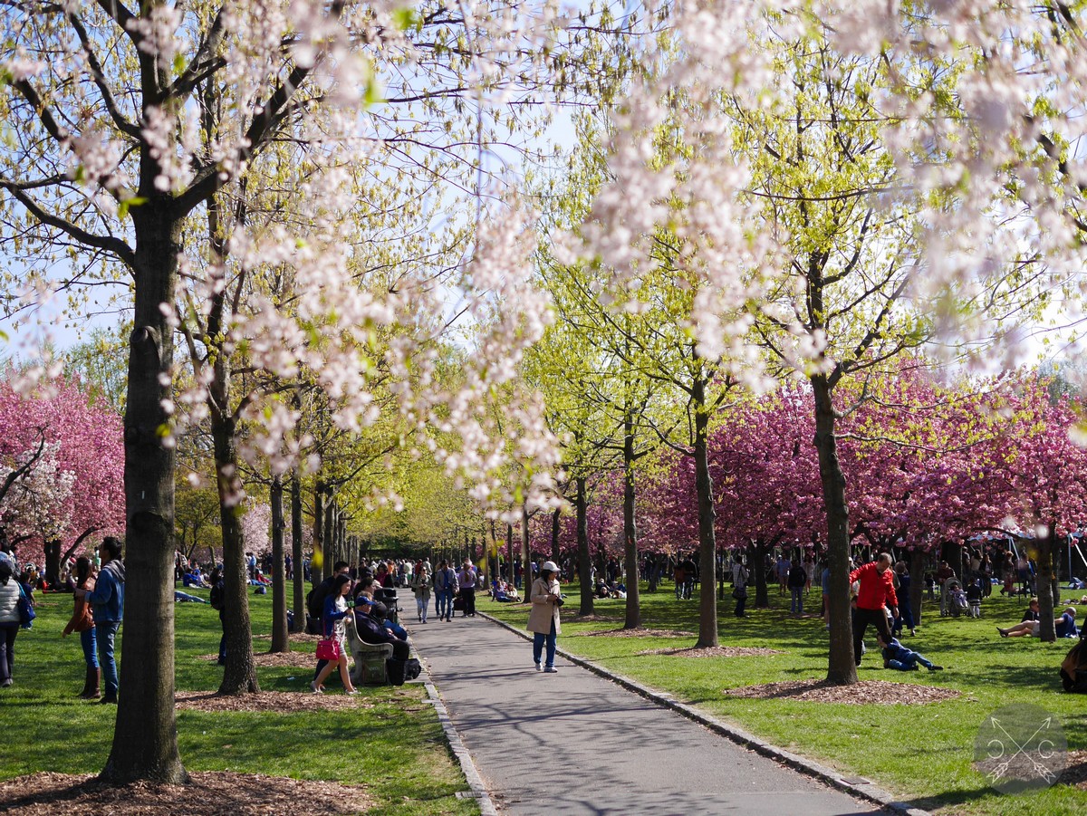 TRAVEL // BROOKLYN BOTANIC GARDEN - Cultural Chromatics