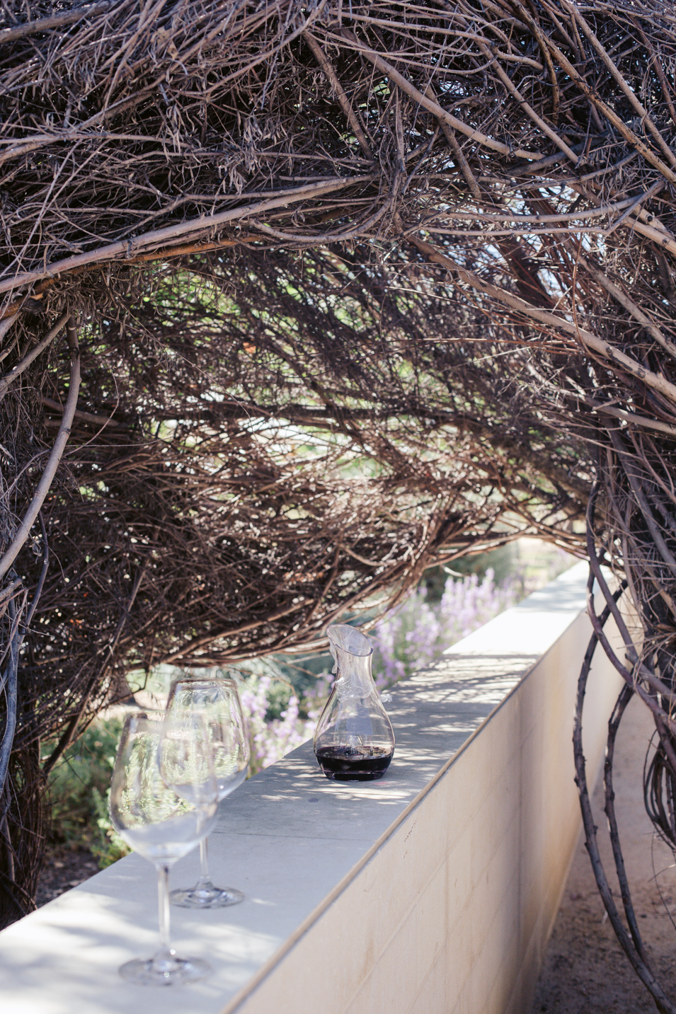 TRAVEL // A Visit to Hall Wines in St. Helena - Cultural Chromatics