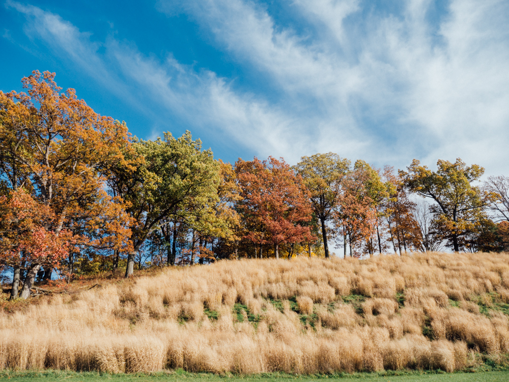 Storm King, An Autumn/Fall-Lover's Dream - Cultural Chromatics