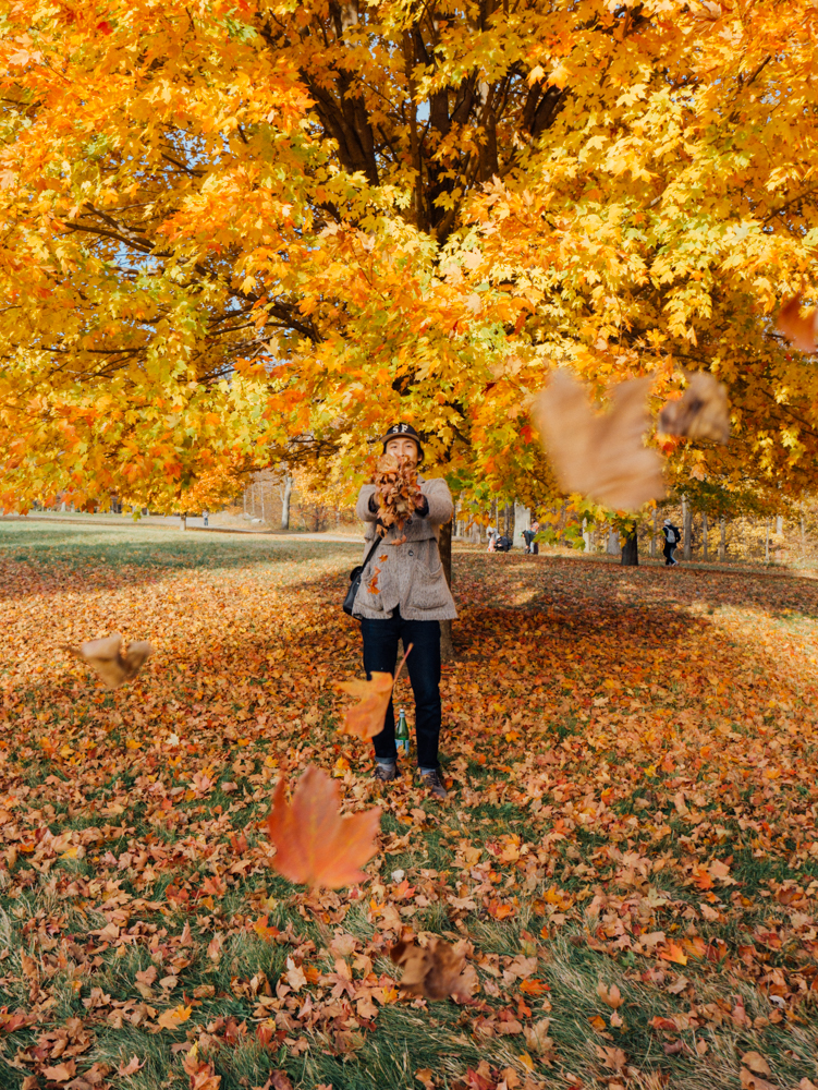 Storm King, An Autumn/Fall-Lover's Dream - Cultural Chromatics