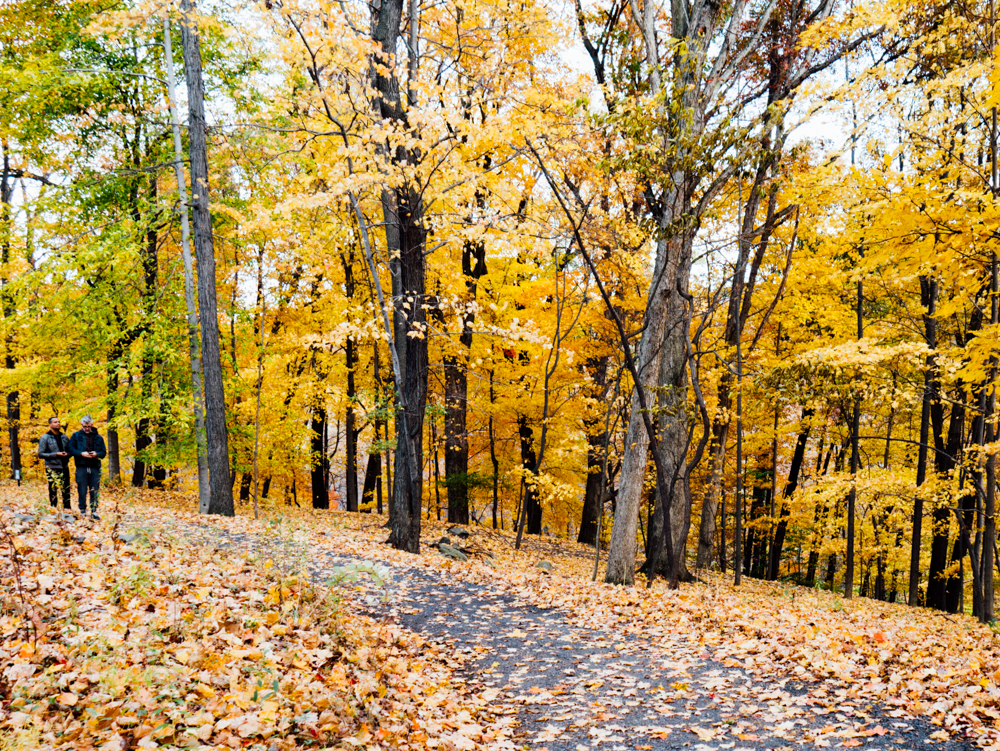 Storm King, An Autumn/Fall-Lover's Dream - Cultural Chromatics